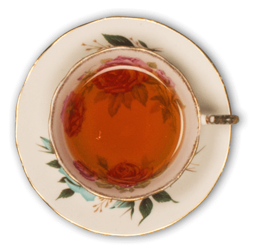 FlowPaper - The web pdf viewer solution (formerly FlexPaper)